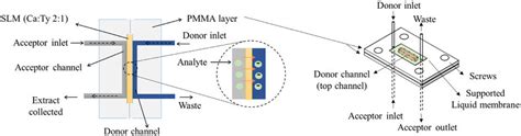 Scheme Of The Microfluidic Device Download Scientific Diagram