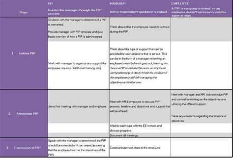 Performance Improvement Plan PIP The Basics