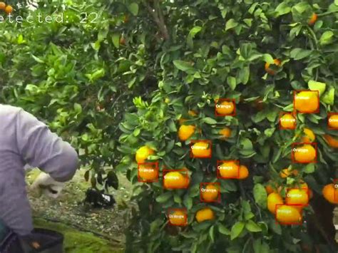 Fruit Detection Using Mpsocs