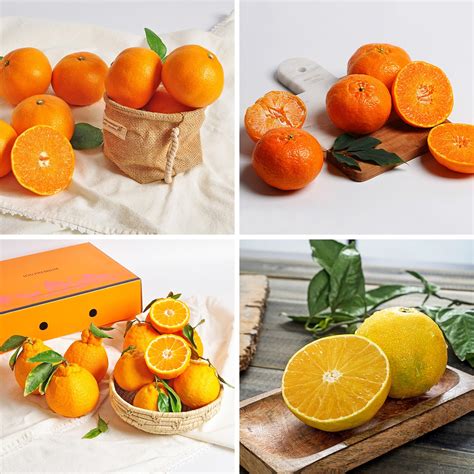 [제주돌담] 만감류혼합 4 5kg 중과 B 한라봉2 25kg 레드향2 25kg 홈플러스 택배배송