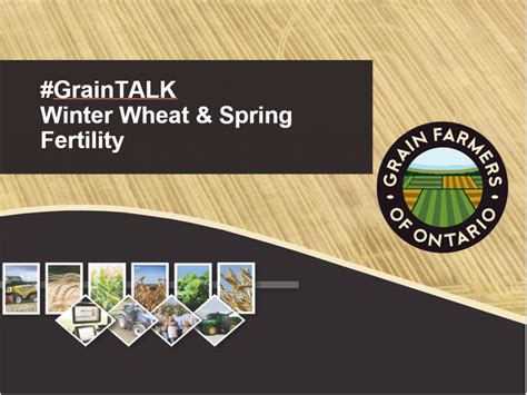 GrainTALK Managing The Winter Wheat Crop Grain Farmers Of Ontario