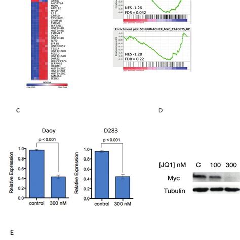 C Expression Of C Myc Mrna In Medulloblastoma Cells Treated With Download Scientific Diagram