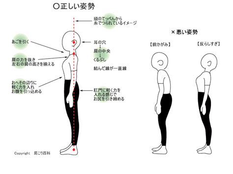 正しい姿勢の基本肩こり百科