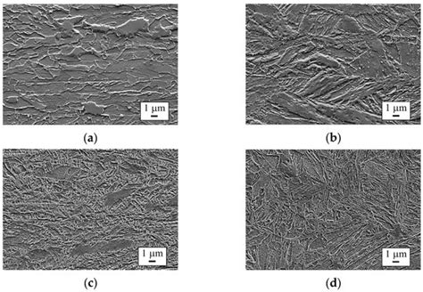 Understanding The Fatigue Notch Sensitivity Of High Strength Steels