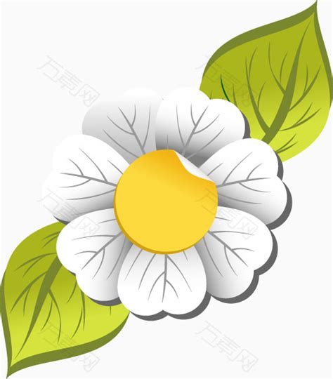 手绘素雅白色花朵图案png元素素材图片下载 万素网