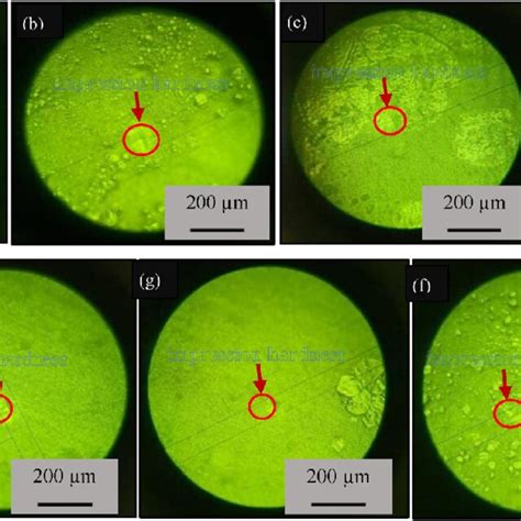 Microstructure With Optical Microscope Of Sintered Anode A R O