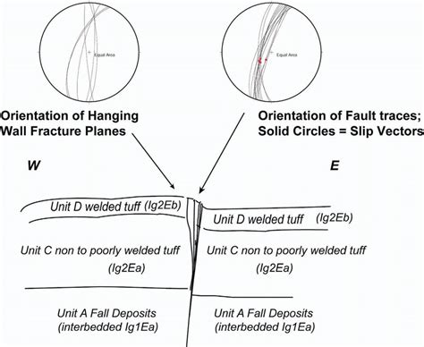 Schematic Sketch Of The Chalk Cove Fault Illustrating Interpretation Of Download Scientific