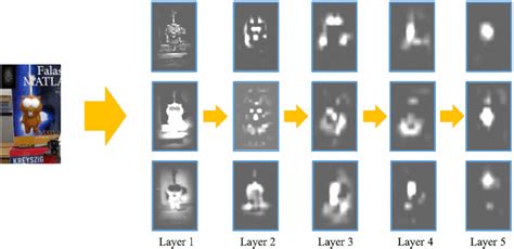 Visualization Of The Convolutional Features Of Alexnet Early Stage Download Scientific Diagram