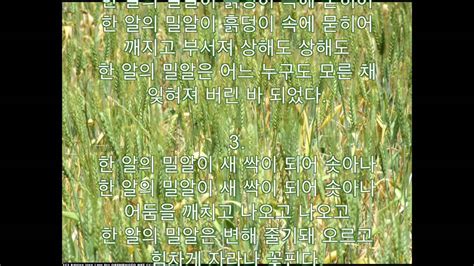 한 알의 밀알 Youtube