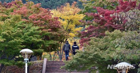 대구·경북 일교차 큰 가을 날씨 독도 해상 파도 2m 안팎