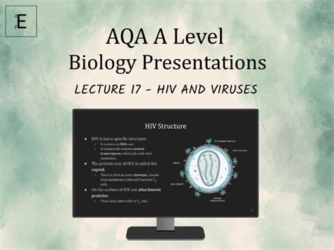Aqa A Level Biology Lecture 17 Hiv And Viruses Teaching Resources
