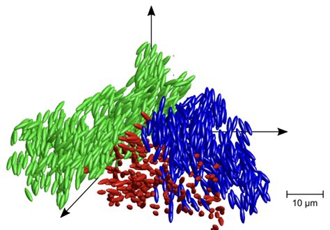 Liquid Glass Discovered As New State Of Matter