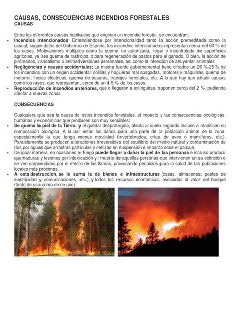 Causas Y Consecuencias De Los Incendios Forestales