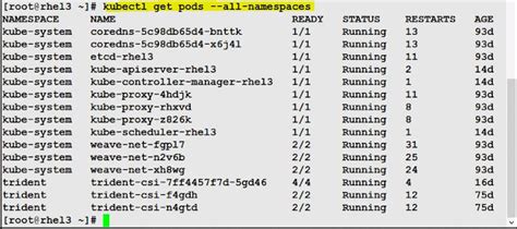 Remote Infrastructure Management NetApp Trident With Kubernetes