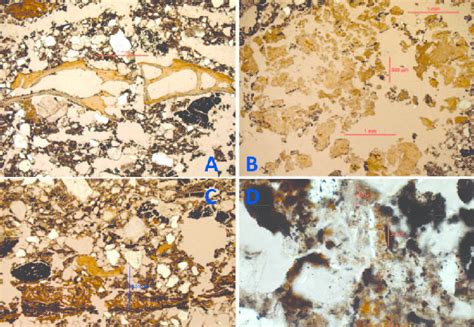 Micropictographs Of Inclusions Within Discard Deposit 2b A Angular Download Scientific