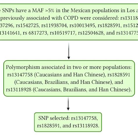 Shows Selection Process Of The Snps Snp Single Nucleotide