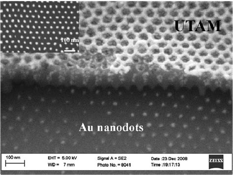 Au Nanodot Arrays Prepared Using An Utam Anodized In 03 M Modulated H