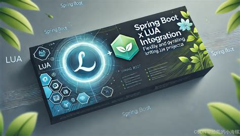 java：spring boot 集成 lua 的技术博客 java csdn专栏