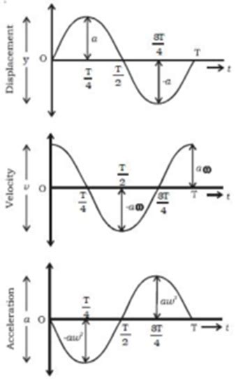 If Y A Sin Wt Represents The Displacement Of A Particle Executing