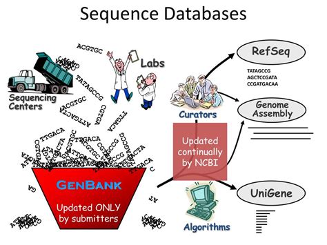 Ppt Ncbi Bioinformatics Workshop Powerpoint Presentation Free