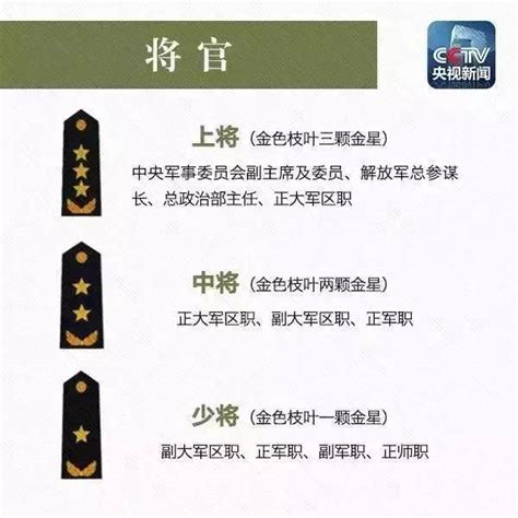 一图教你看懂肩章识军衔