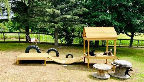 Goat Playgrounds A Place To Play Backyard Goats Artofit