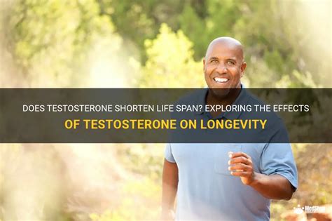 Does Testosterone Shorten Life Span Exploring The Effects Of