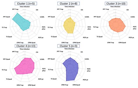 K Means Clustering Algorithm With Five Distinct Clusters Cpm Was Coded