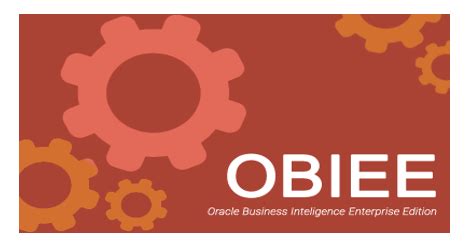 OBIEE Yoloshy Technology