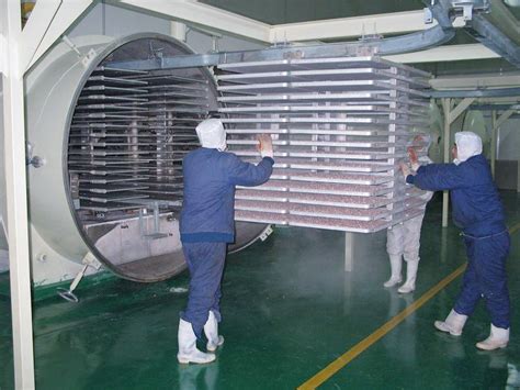 What Is The Freeze Drying Process And How Does It Work Freeze Drying Machine Ltpm China