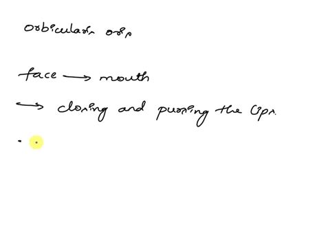 Solved The Action Of Orbicularis Oris Is Group Of Answer Choices Opens Mouth Opens Eye Purses
