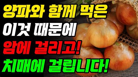 양파는 절대로 이것과 함께 먹지마세요 암과 치매에 걸릴 수 있습니다 양파와 최악의 궁합인 음식 3가지 양파 효능 건강 정보 Youtube
