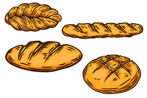손으로 그린 빵 삽화 세트 패키지 배너 전단지 카드를위한 디자인 요소 벡터 일러스트 레이 션 개체 그룹에 대한 스톡 벡터 아트 및 기타 이미지 Istock