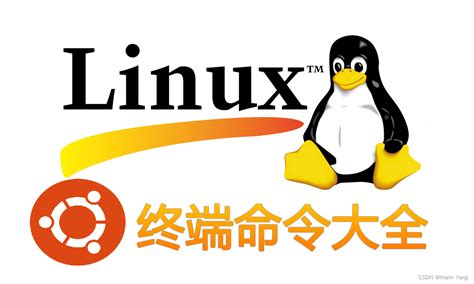 Linux 终端命令之文件浏览2 More 编程之家 Linux 终端命令之文件浏览2 More 编程之家