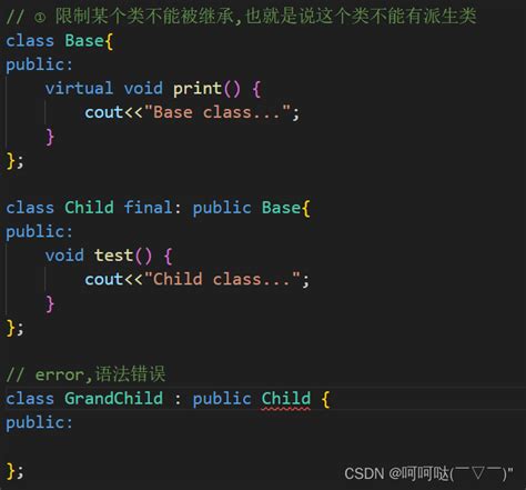 c 11 新特性 final 和 override c final public csdn博客