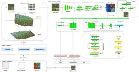 remote sensing mdpi on linkedin tree segmentation identification
