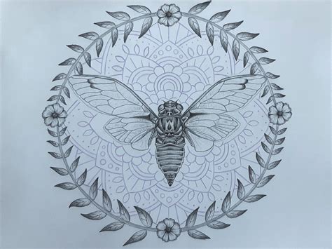 Leetcode Vs Codewars Vs Geeksforgeeks Vs Hackerrank Rlearnprogramming