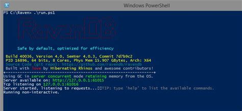 Installing And Running Ravendb On Windows And Linux Hildenco Solutions