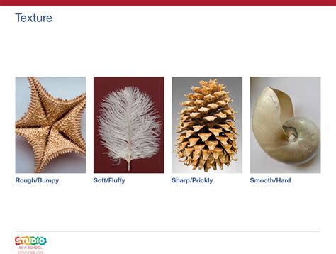 Lesson 6 Exploring Texture Reflection Studio In A Babe