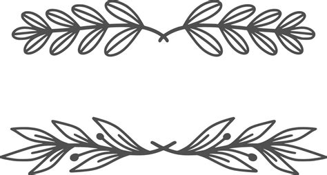 Leaf Text Divider Vector Art Icons And Graphics For Free Download