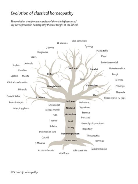 Homeopathy Evolution Tree Pdf Homeopathy Ethically Disputed Practices
