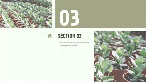 CSR Report Google Slides And PowerPoint Template