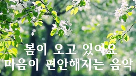 봄이 오고 있어요🌼 피어나는 꽃들처럼 기분 좋은 멜로디 연주곡 🌼 마음이 편안해지는 음악 Youtube