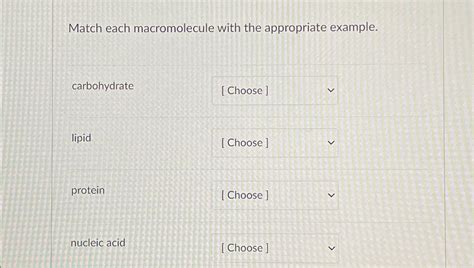 Solved Match Each Macromolecule With The Appropriate