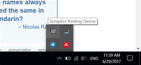 Synaptics Pointing Device