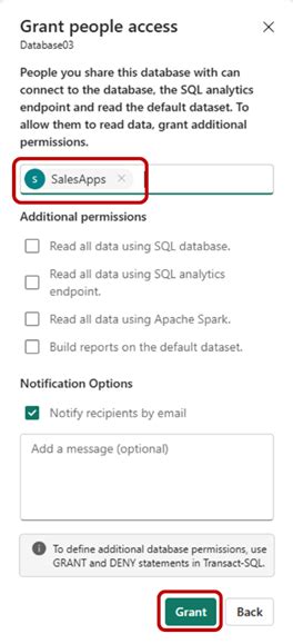 manage access in sql database in microsoft fabric with sql native
