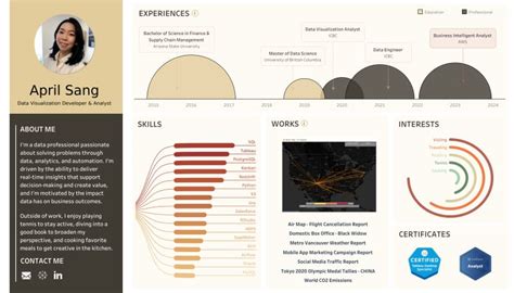 Opentowork Tableau Dataanalytics Datavisualization Resume