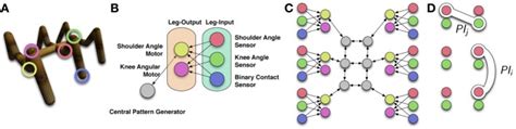 Hexapod For Locomotion Task And Controller Set Up A Hexapod Robot Download Scientific