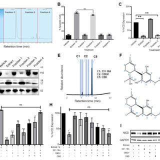 Identifying Specific Phytocannabinoids Responsible For The Cytotoxic Download Scientific