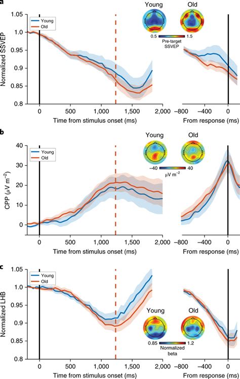 Sensory Encoding Decision Formation And Motor Preparation Signals Download Scientific Diagram